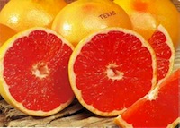 Two Dog Organic Nursery